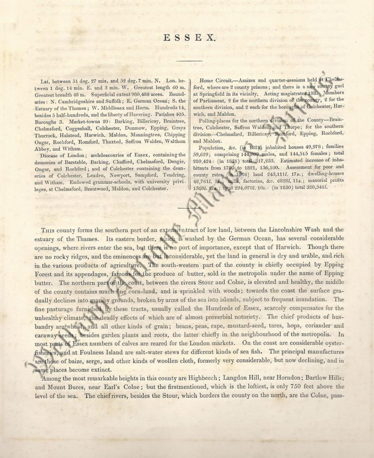 ‘ESSEX.’ (with text) by Sidney Hall c.1833 – Welland Antique Maps