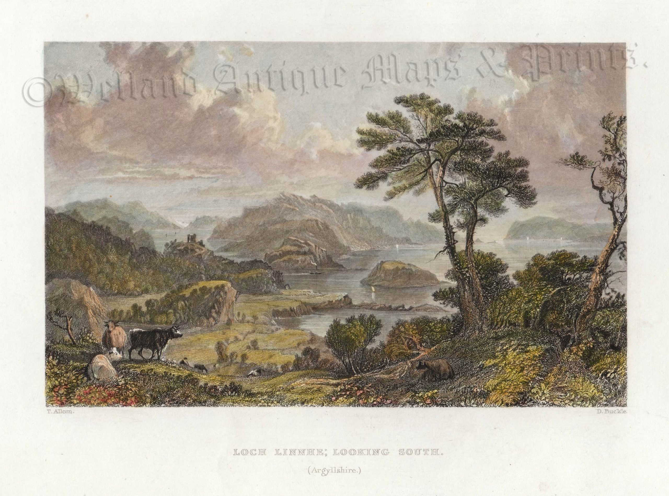 'LOCH LINNHE; LOOKING SOUTH. (Argyllshire.)' by T. Allom / D. Buckle c ...