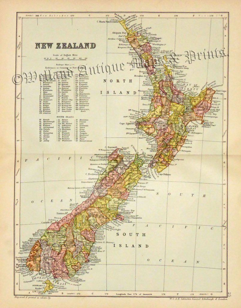 New Zealand Archives - Welland Antique Maps
