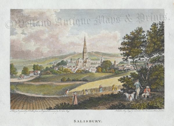 Salisbury Prints – Welland Antique Maps